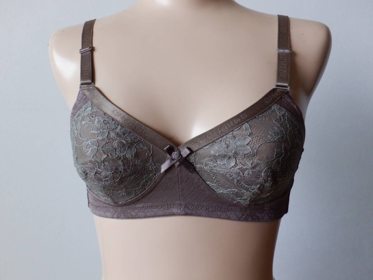 Yahoo!オークション - 美品 シャルレ FA023 高級補正下着 ノンワイヤー...