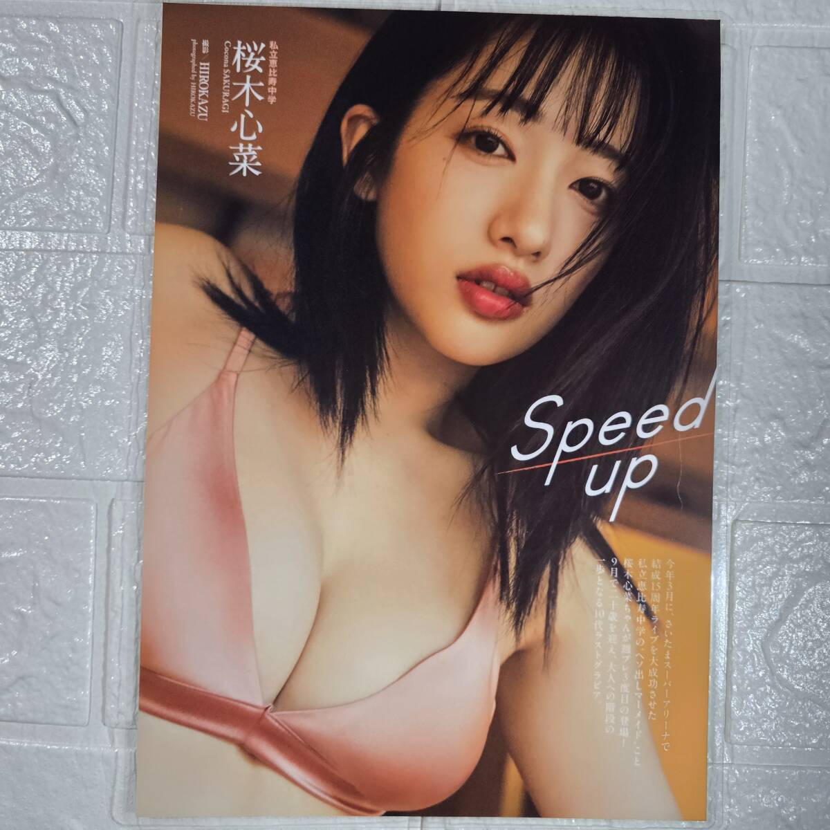 Yahoo!オークション - 桜木心菜 蒔埜ひな B5【国産フィルム150μラ...