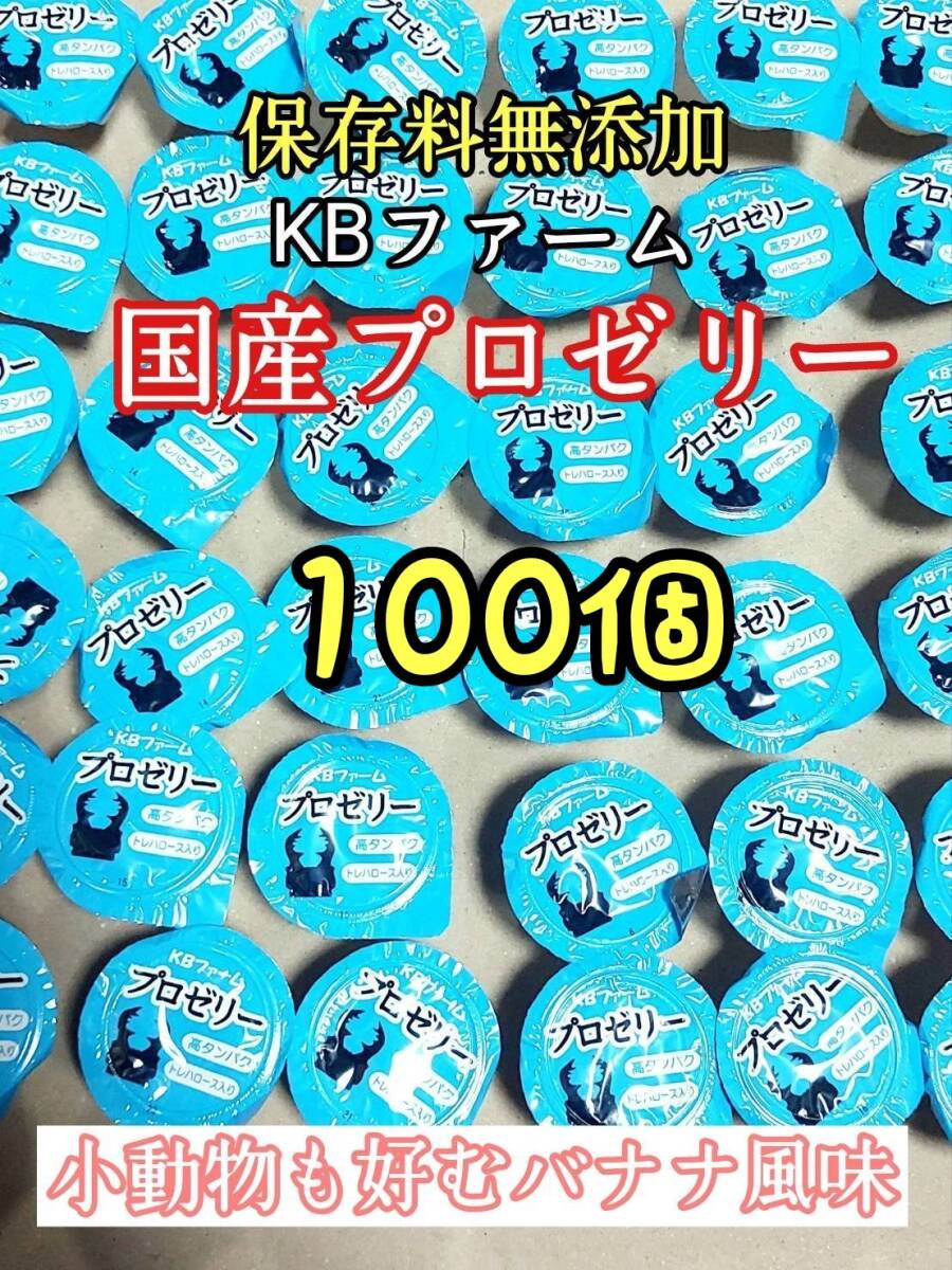 Yahoo!オークション - KBファーム 国産プロゼリー16g 100個 カブトムシ...