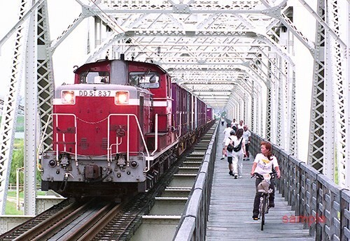 Yahoo!オークション - 【鉄道写真】DD51 837 城東貨物線貨レ [0001765]