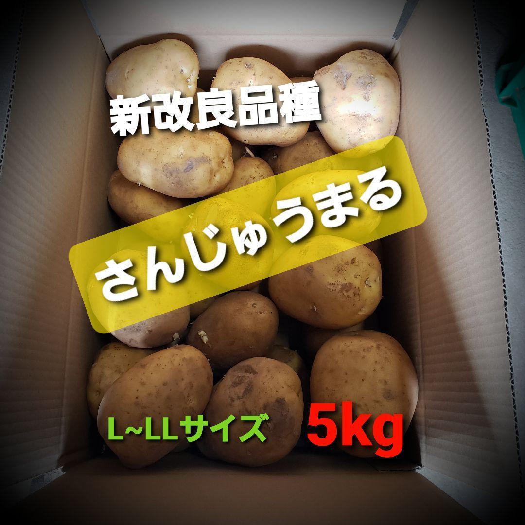 Yahoo!オークション - 希少品種 さんじゅうまる 5キロ じゃがいも