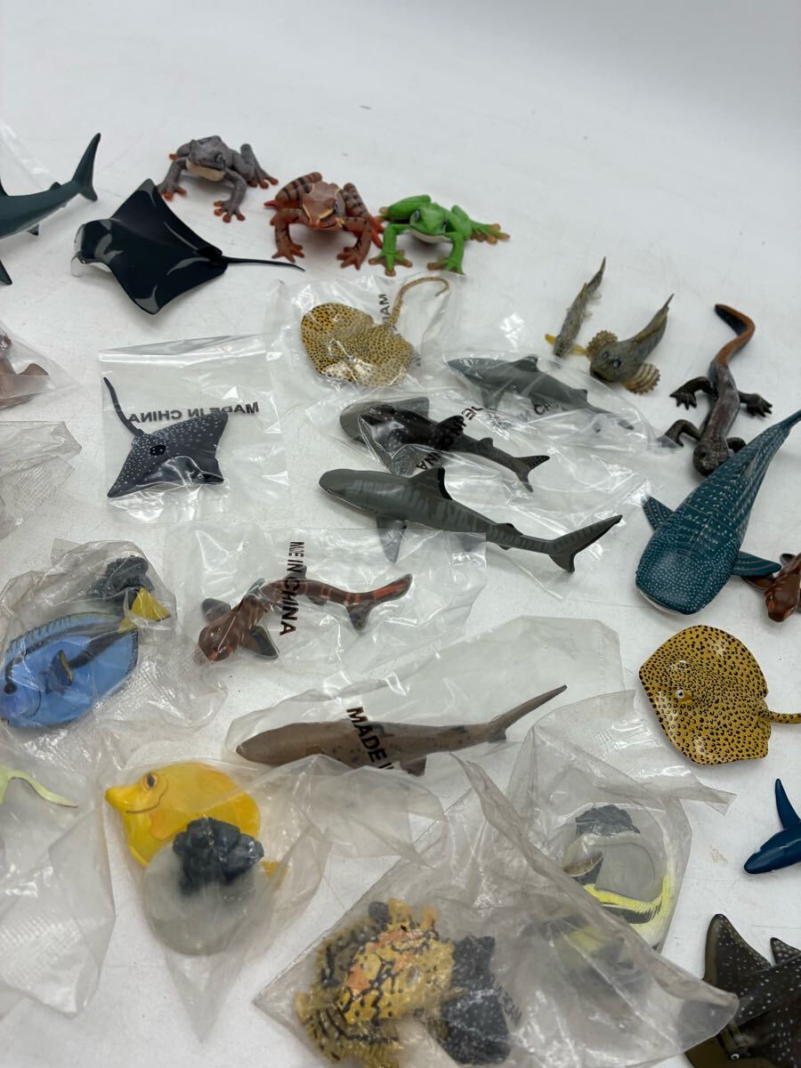 Yahoo!オークション - 1スタ 海洋生物 フィギュア 海の生物 まとめ ジ...