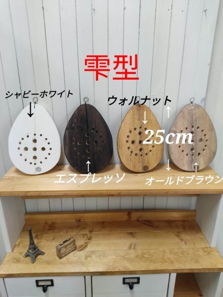 Yahoo!オークション - P104激レア貴重種 大株 ヒドノフィツム スラウェ...