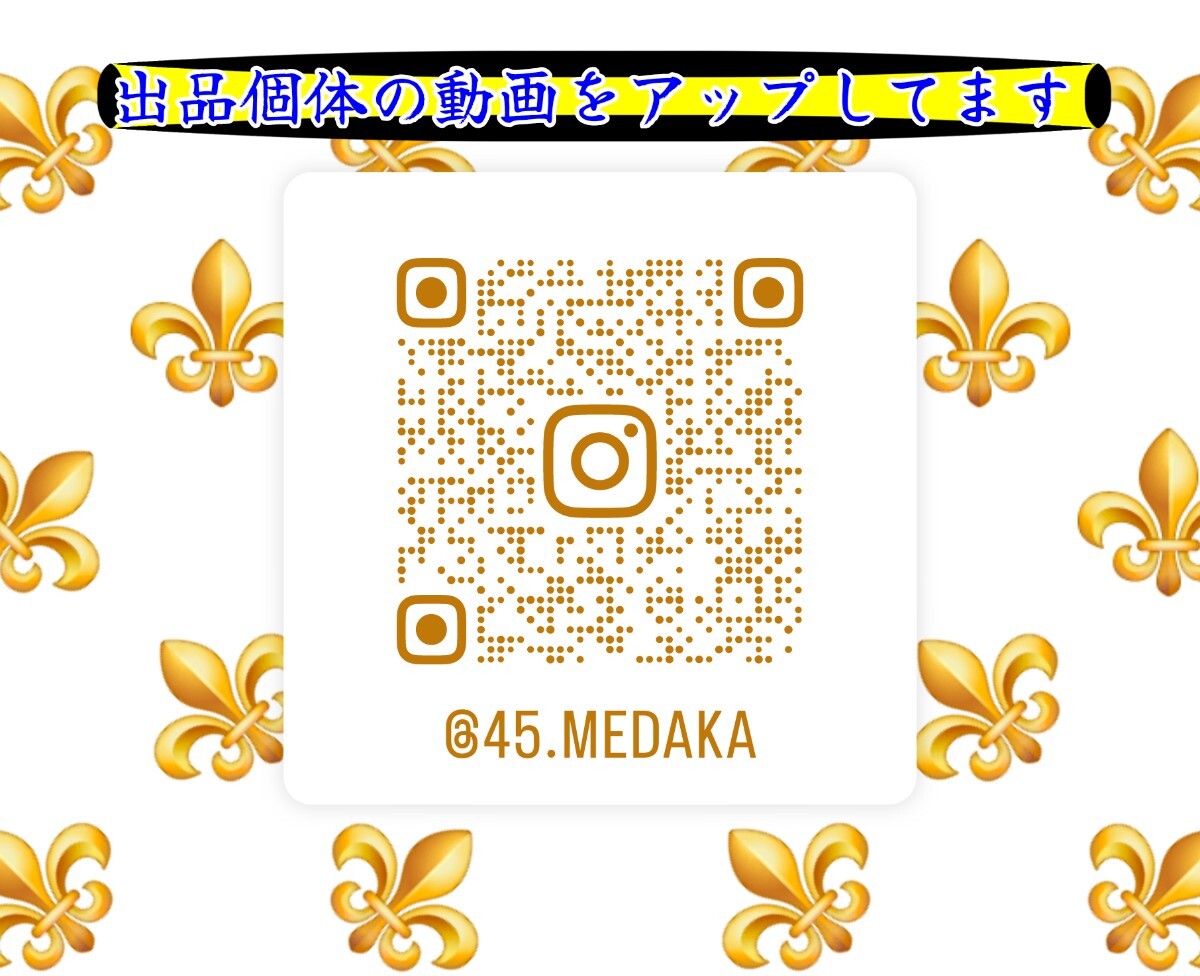 Yahoo!オークション - 【45めだか】極上『和墨白銀三色RLF 1トリオ』ぱ...