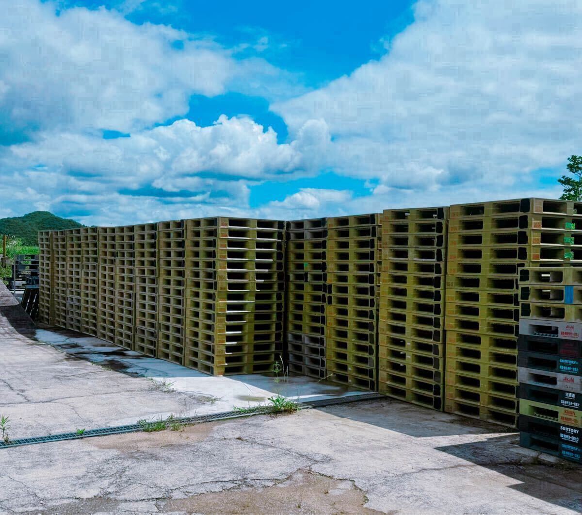 Yahoo!オークション - 中古プラスチックパレット ZFD1111 1100×1100×...