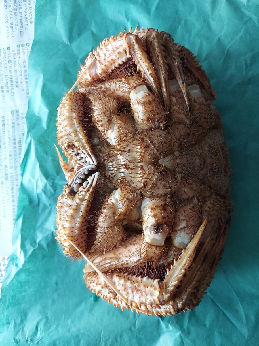 Yahoo!オークション - 巨大毛がに620g位1匹4980円即決