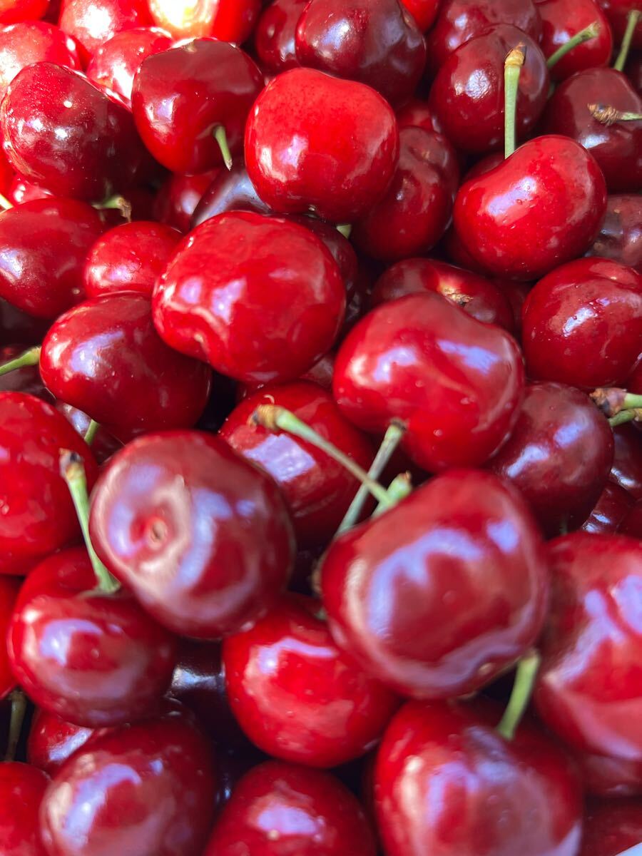 Yahoo!オークション - 9.5r超大粒アメリカンチェリー箱込み1kg 父の日 ...