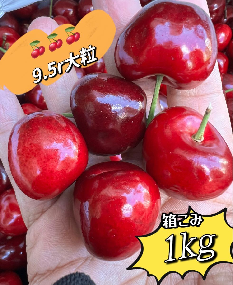Yahoo!オークション - 超大粒 9.5r アメリカンチェリー箱こみ1kg 父の...