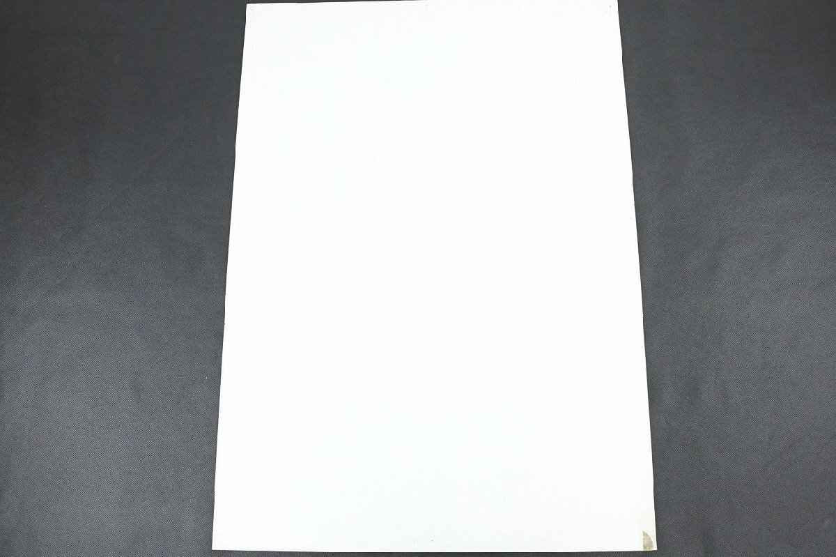 【樂淘letao】日本代購代標第一品牌－B2判【アキラ 完全版】監督 大友 克洋 岩田光央/佐々木望映画ポスター_長AC