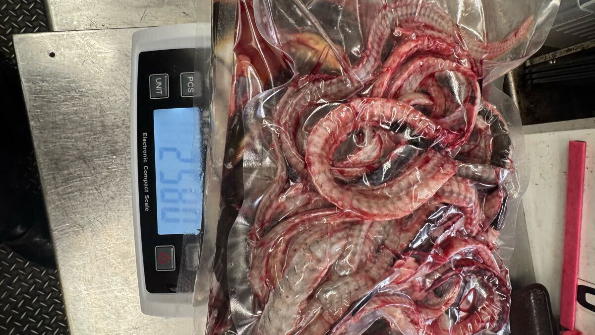 Yahoo!オークション - ウナギ 鰻 うなぎ 2.580kg