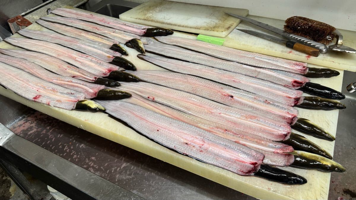 Yahoo!オークション - 天然うなぎ 鰻 ウナギ 小田原酒匂川産 381g 4匹 ...