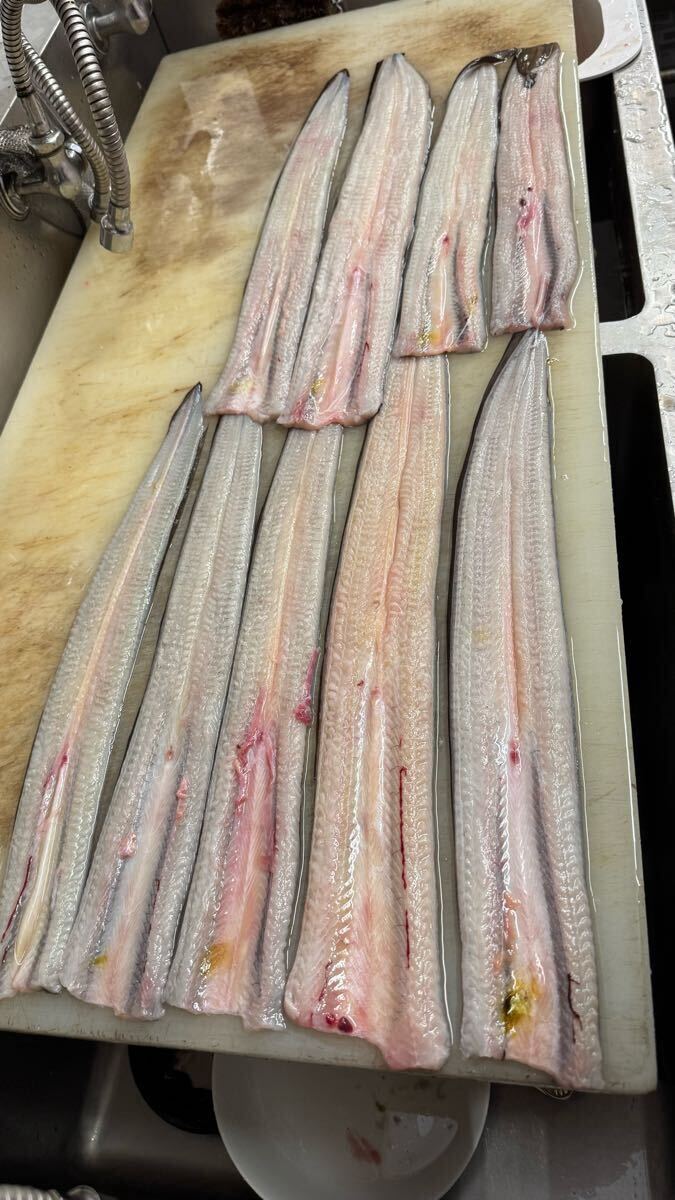 Yahoo!オークション - ウナギ 鰻 うなぎ 2.580kg