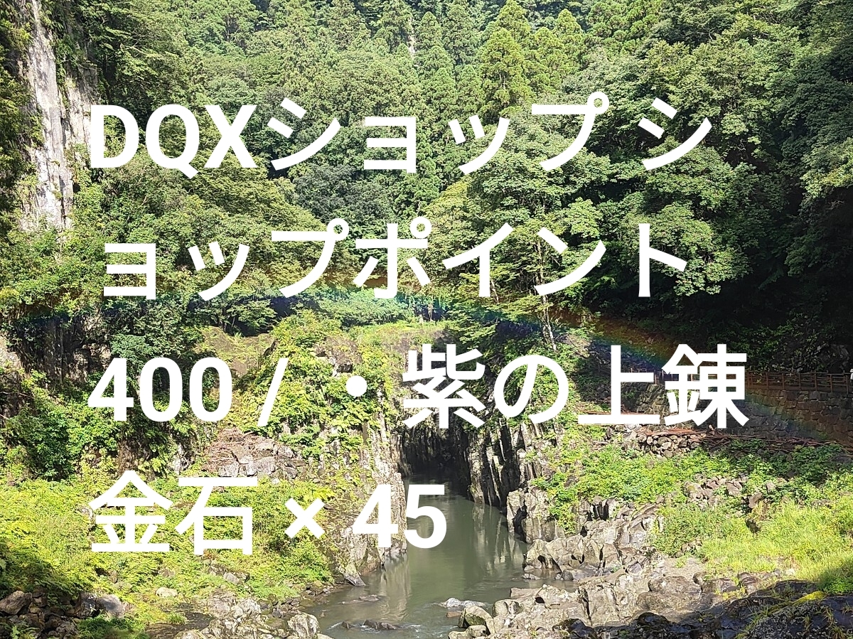 Yahoo!オークション - ドラゴンクエストX オンライン DQXショップ ショ...
