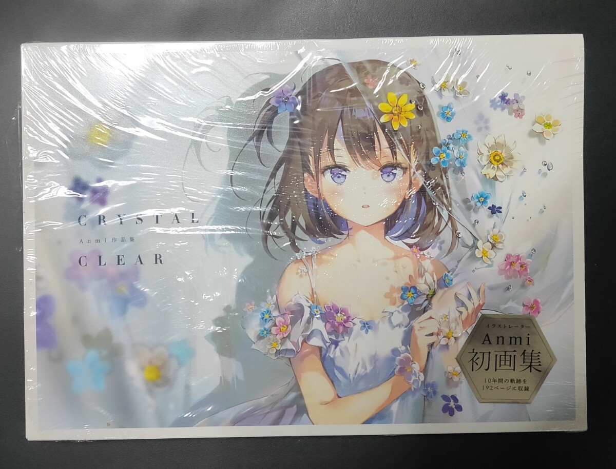 Yahoo!オークション - CRYSTAL CLEAR Anmi作品集 画集