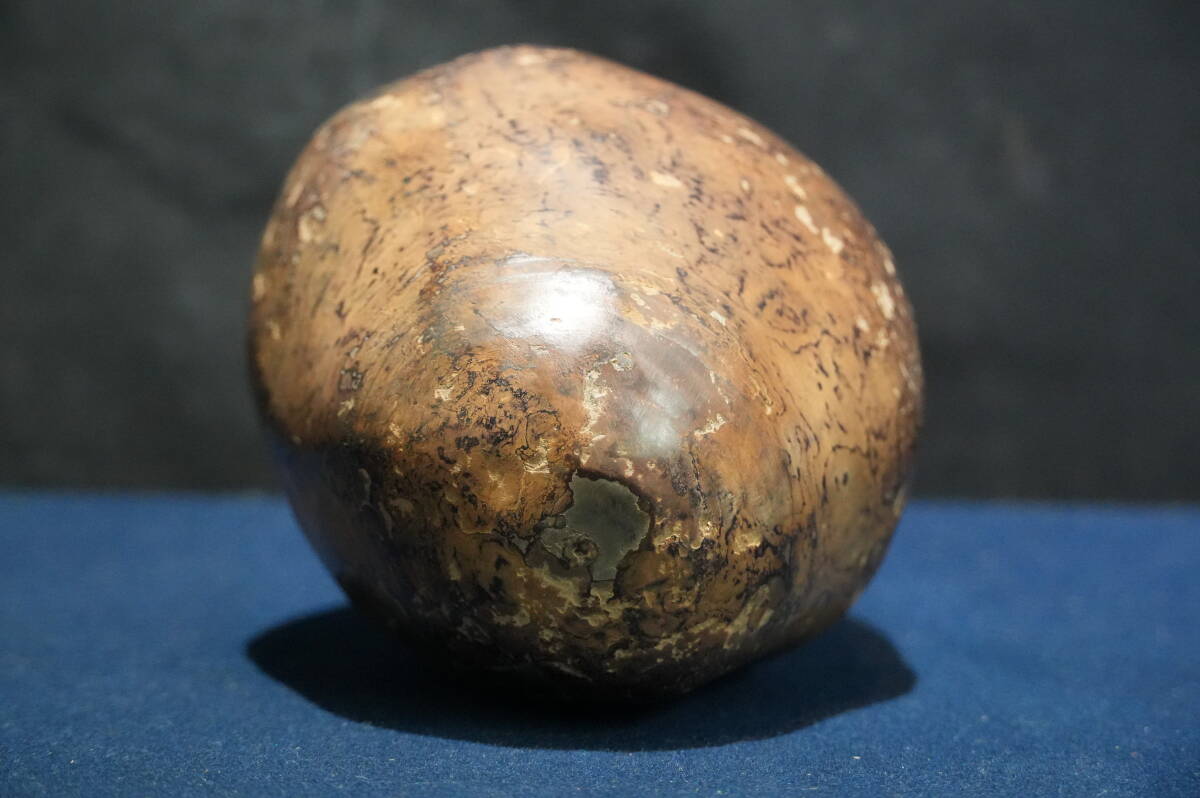 Yahoo!オークション - T1749 愛石家 美石・盆石放出品 静岡 鉄丸...