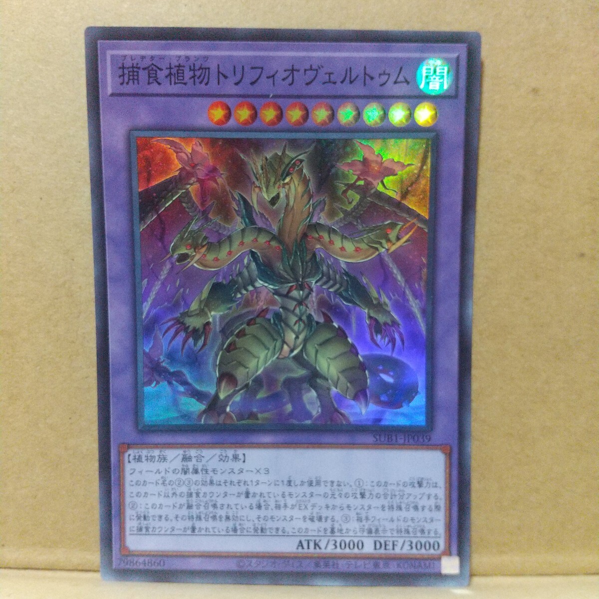 Yahoo!オークション - 【捕食植物トリフィオヴェルトゥム】【SUB1-JP03...