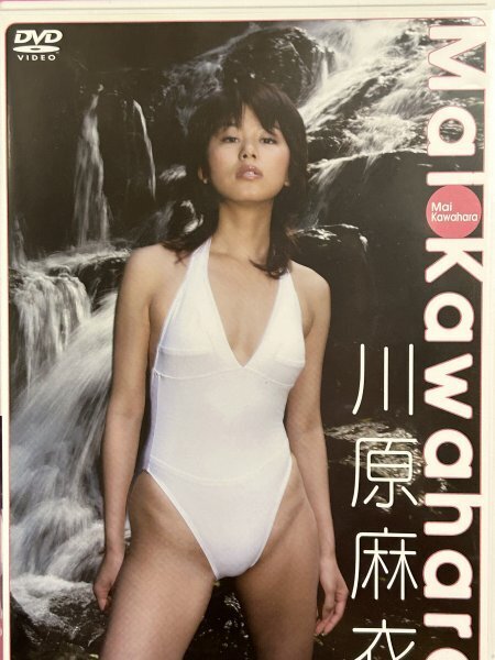 Yahoo!オークション - 川原麻衣 Mai Kawahara アサヒビールのイメージ...