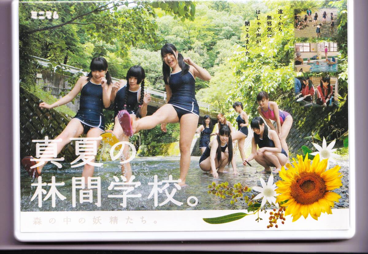 Yahoo!オークション - ミニマム 森の中の妖精たち 真夏の林間学校 青井...