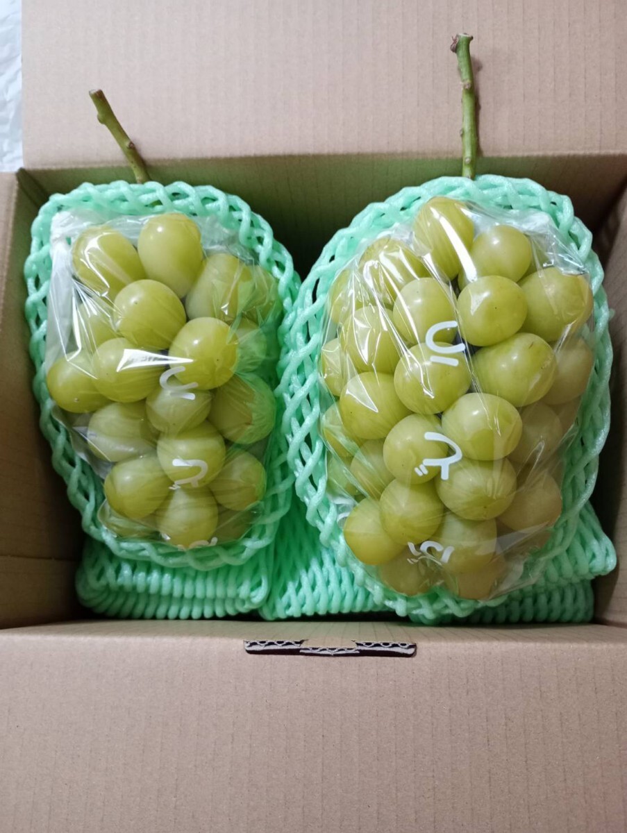 Yahoo!オークション - 農家直送シャインマスカット 1.5kg 2〜3房