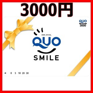 Yahoo!オークション - 送料無料・新品 QUOカード 3000円分