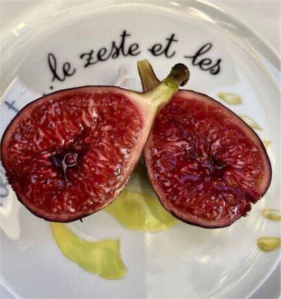 Yahoo!オークション - 希少 イチジク TNT 苗木