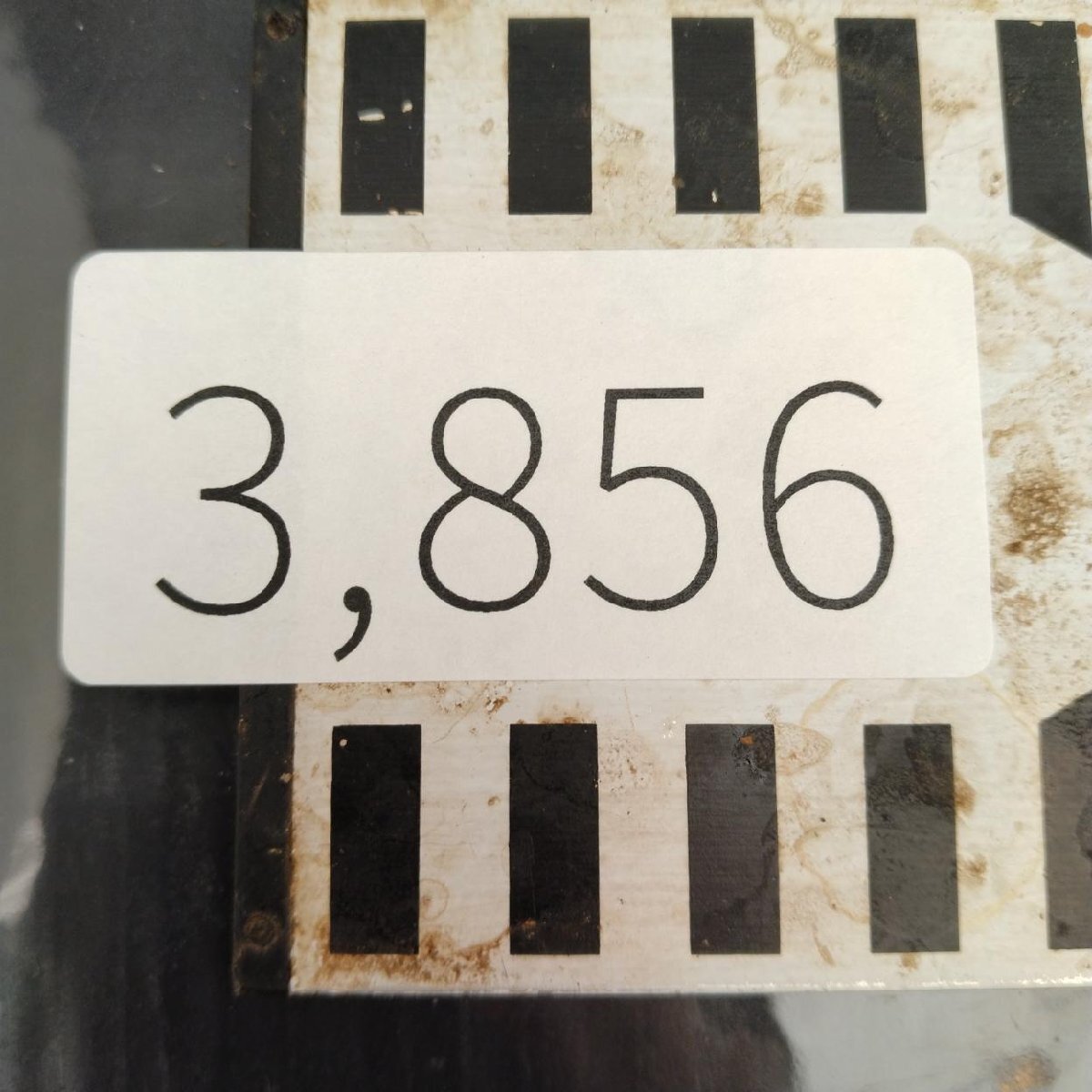 Yahoo!オークション - 3856 「エアプランツ」tillandsia latifolia × ...