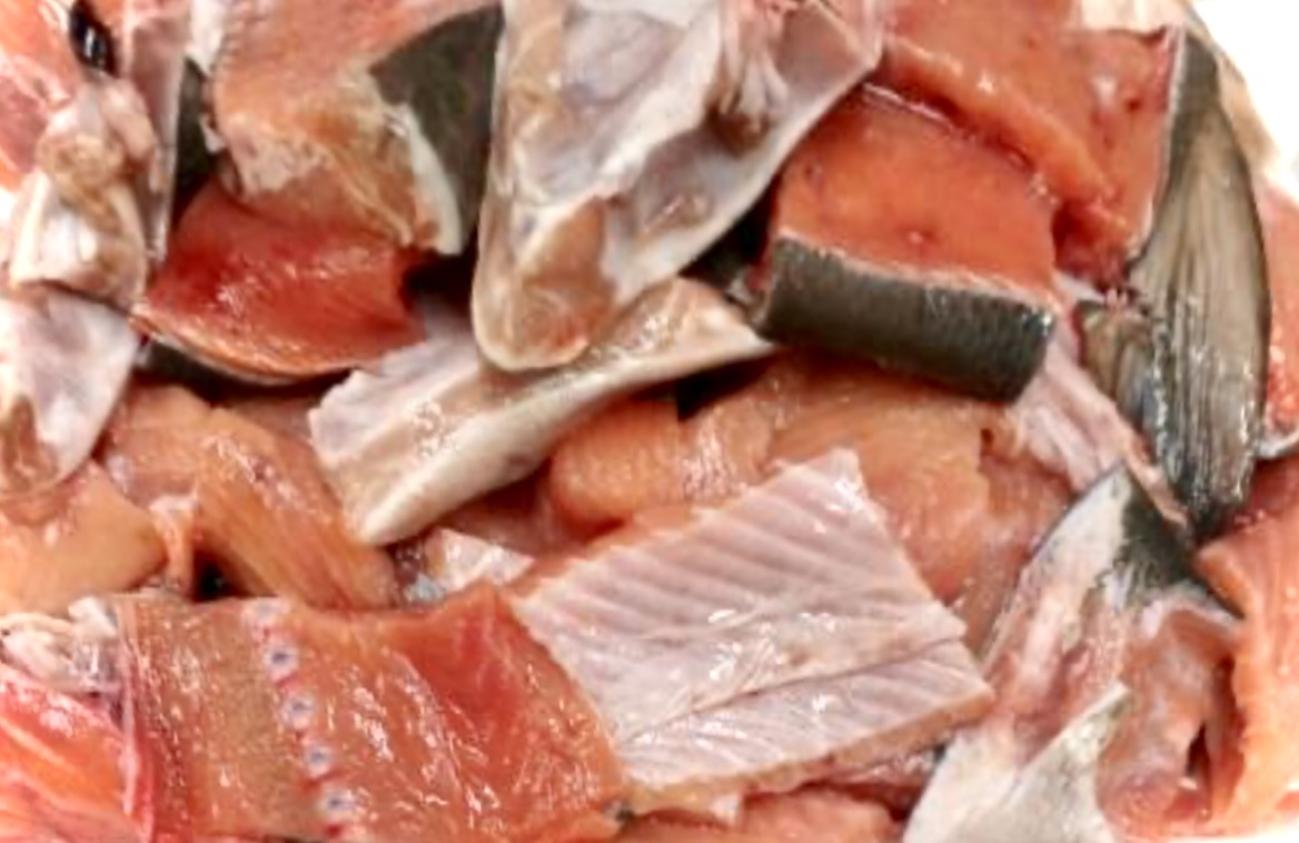 Yahoo!オークション - 【16kg】鮮度抜群 北海道産 秋鮭端材 業務用 16k...