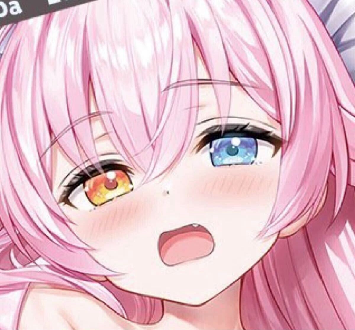 Yahoo!オークション - C106 コミケ106 ESSENTIA 抱き枕カバー ホシノ ...