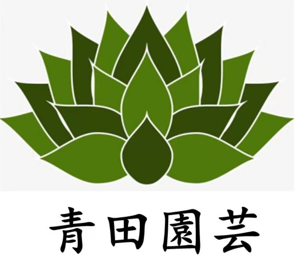 Yahoo!オークション - AN42 830 AO7 490 専用