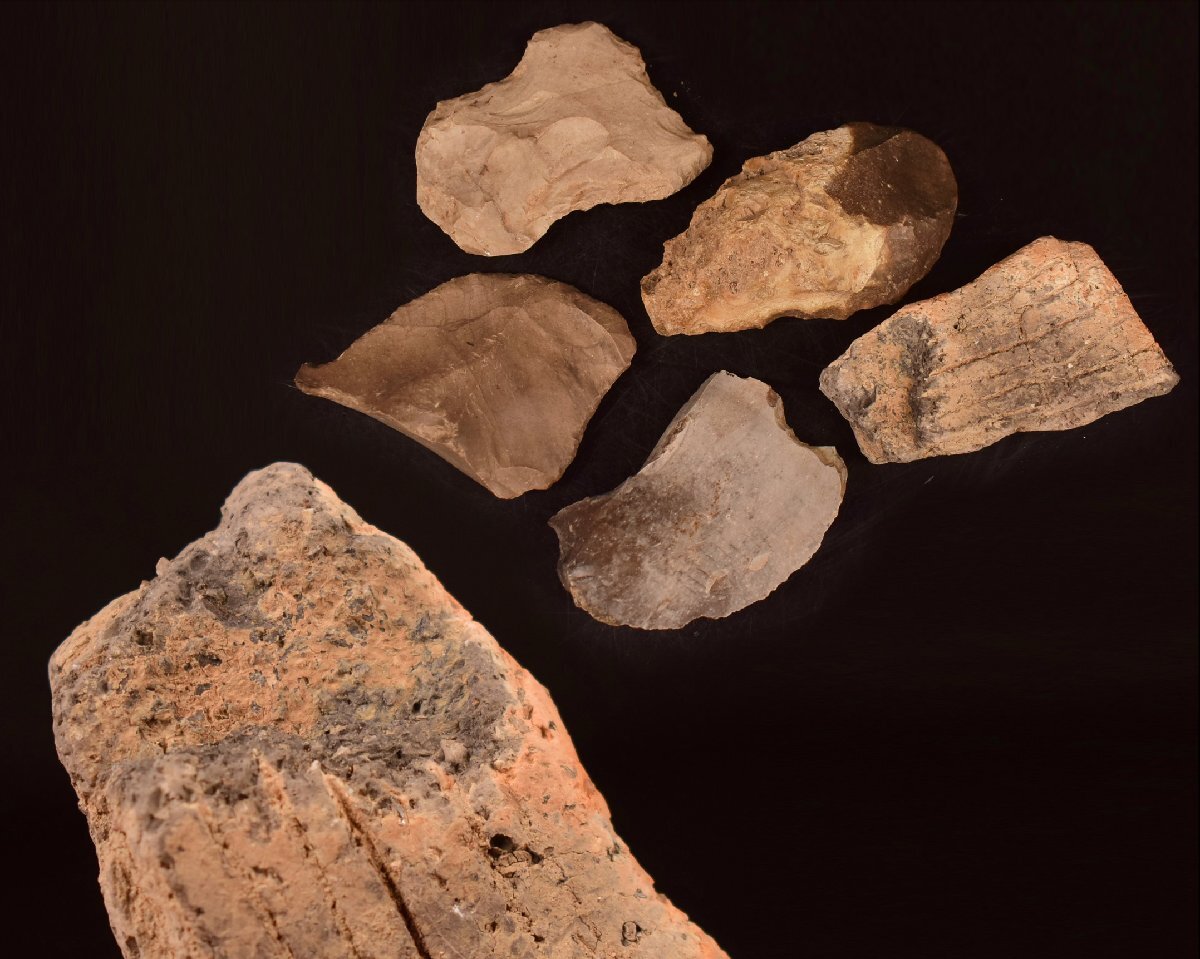 Yahoo!オークション - Z328 【泉美】縄文矢じり 矢尻 鏃 5点 時代 石器...