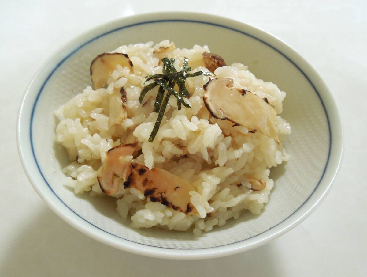 Yahoo!オークション - 採れたて希少 今しか採れない旬の山の恵み 天然...