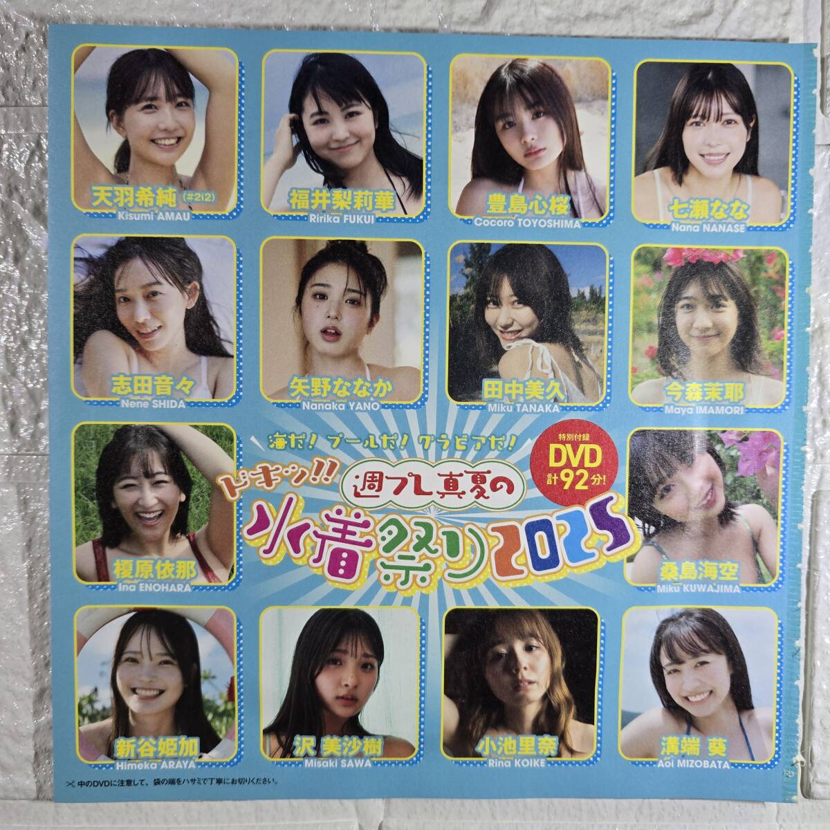 Yahoo!オークション - プレイボーイ2025年上半期 特別付録DVD 92...