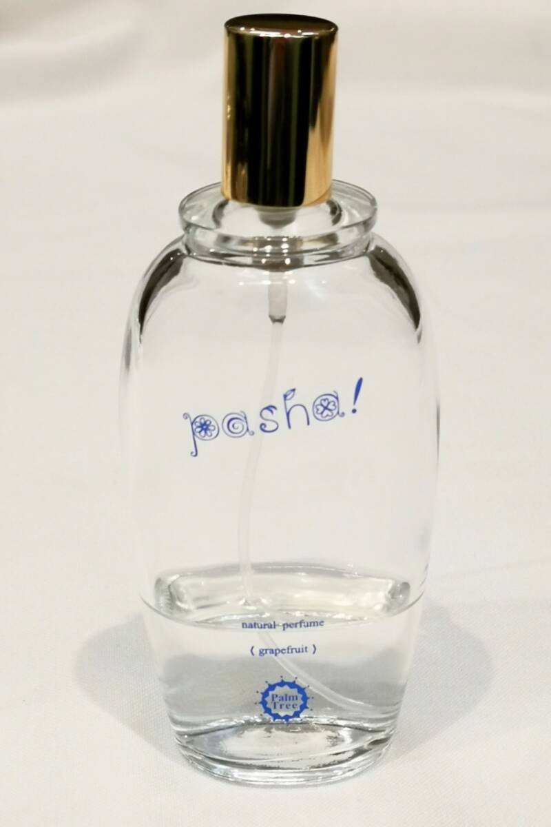 Yahoo!オークション - 【B】【17652】 送料無料 Palm Tree パームツリ...