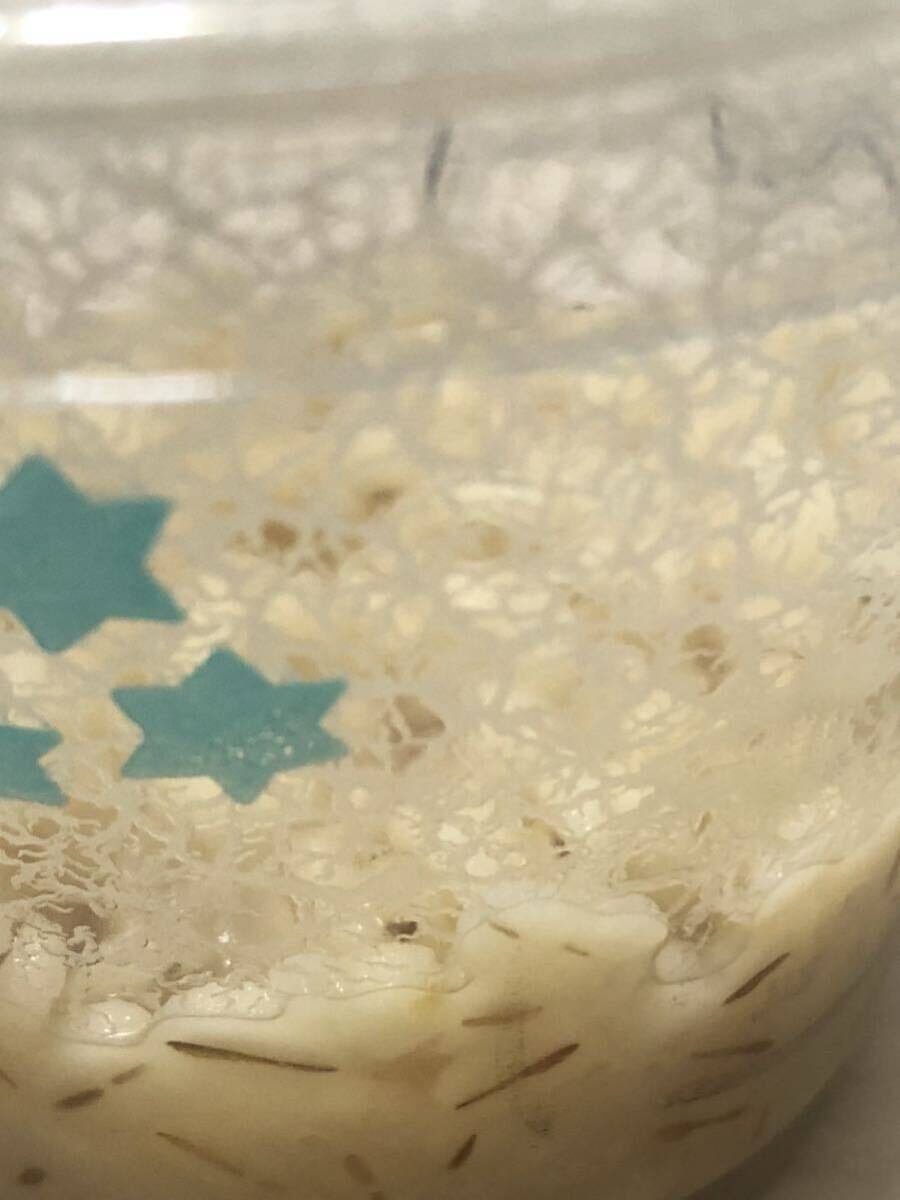 Yahoo!オークション - マイクロワーム 20g