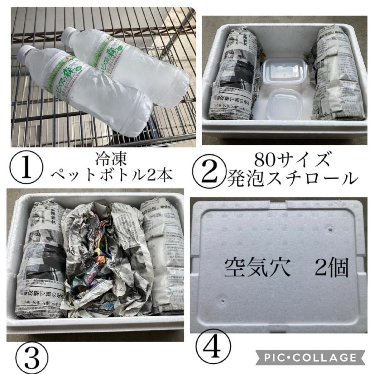 Yahoo!オークション - ①コスタリカ産 エレファスゾウカブト WF6成虫ペ...