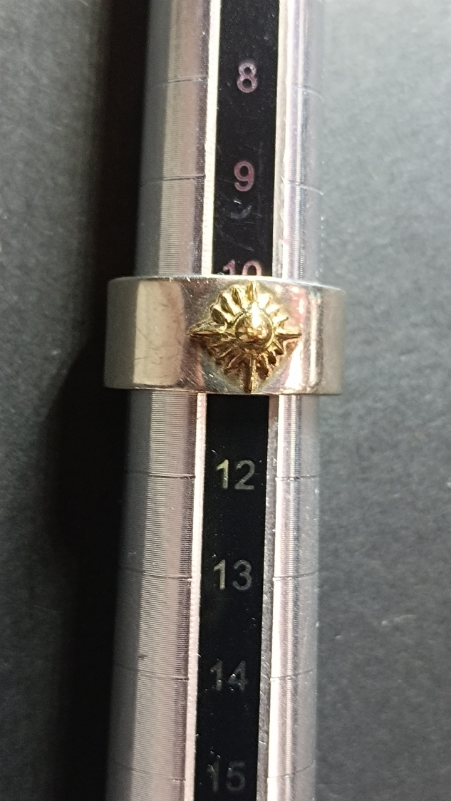 ARIZONA FREEDOM アリゾナフリーダム SILVER/K18 リング(その他)｜売買されたオークション情報、yahooの商品情報をアーカイブ公開 - オークファン（aucfan.com）