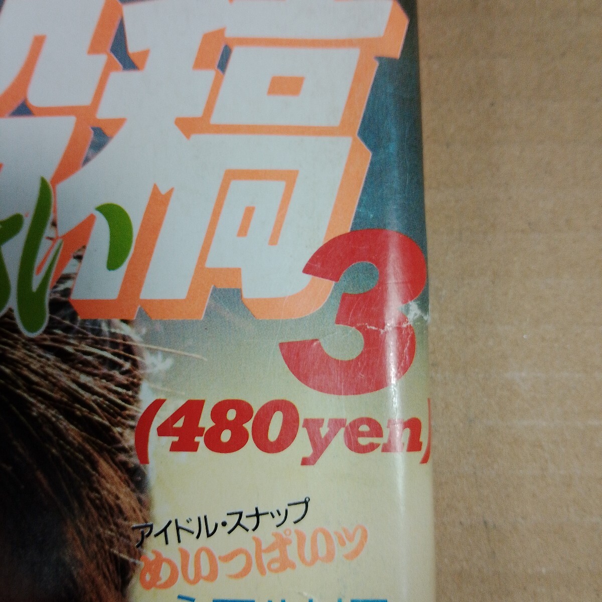 Yahoo!オークション - N77 熱烈投稿 1987年 3月号 岩本雅子 永田ルリ子...