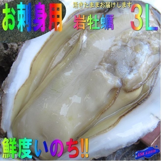 Yahoo!オークション - 3箱 生食用「岩牡蠣3L-2kg」【天然物】生きたま...