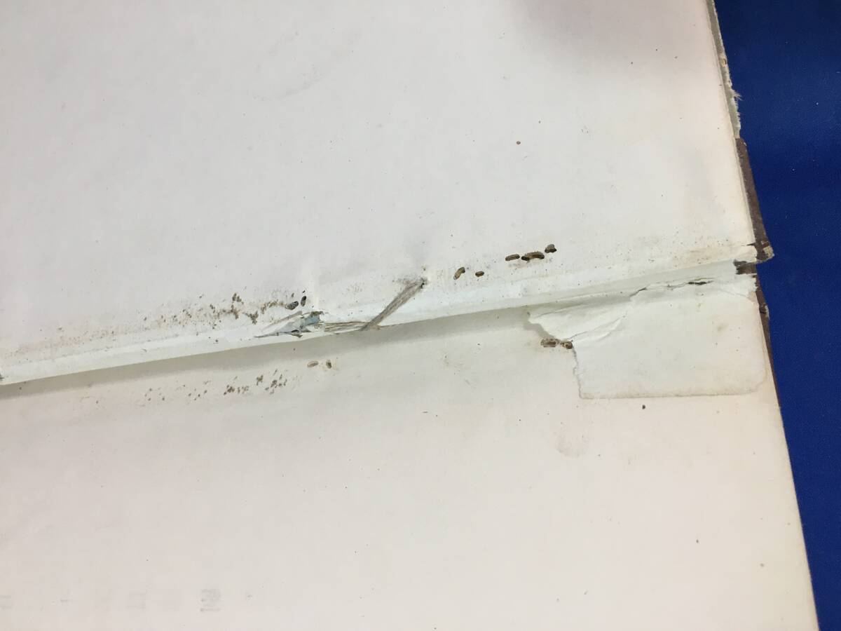 Yahoo!オークション - AM25サ 戦前 明治37年 【写真集】 「Picturesque...