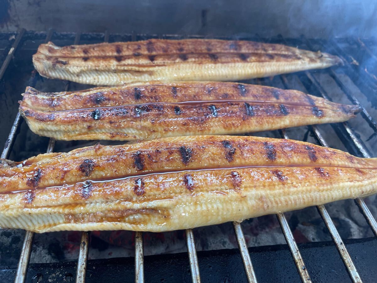 Yahoo!オークション - 【限定出品】【鹿児島産】新仔鰻 大サイズ140g