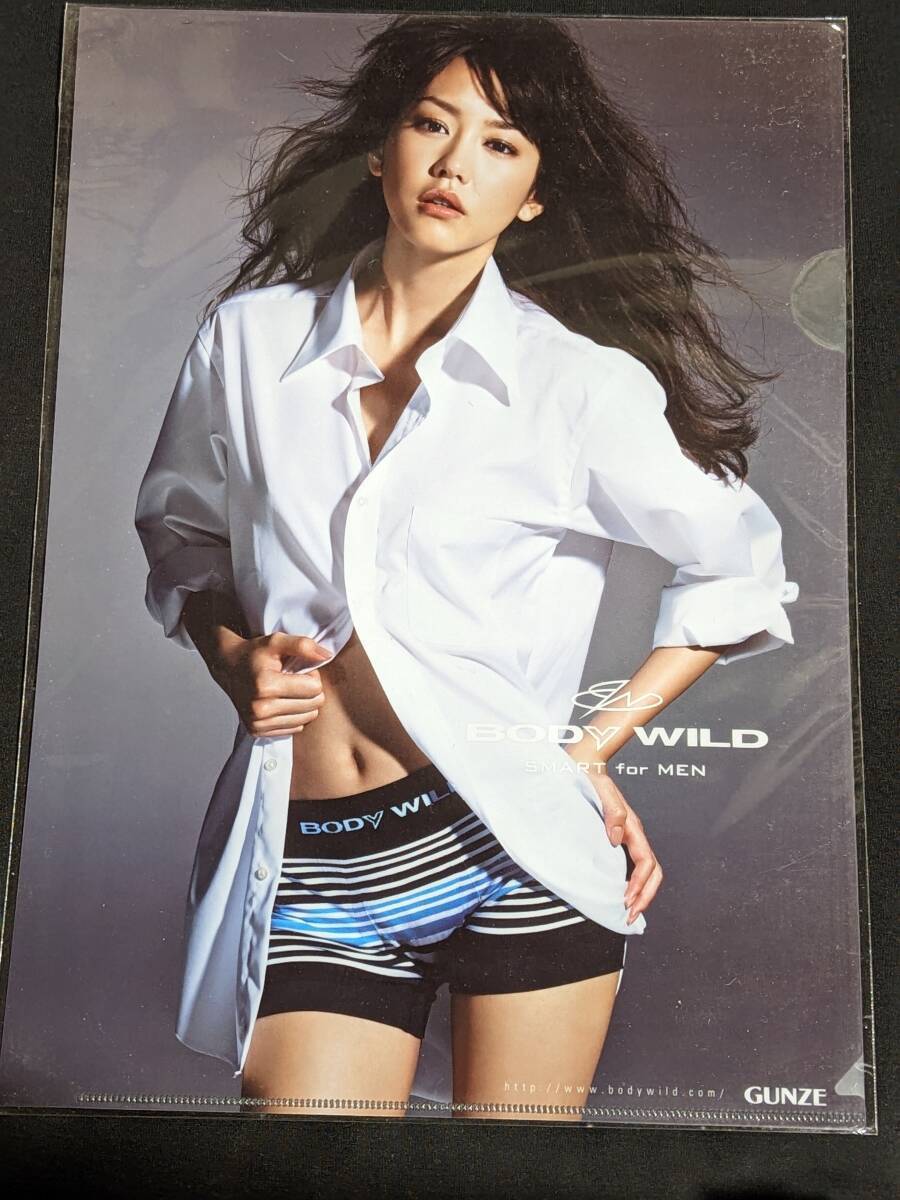 Yahoo!オークション - rd45 クリアファイル 桐谷美玲 GUNZE グンゼ 男...