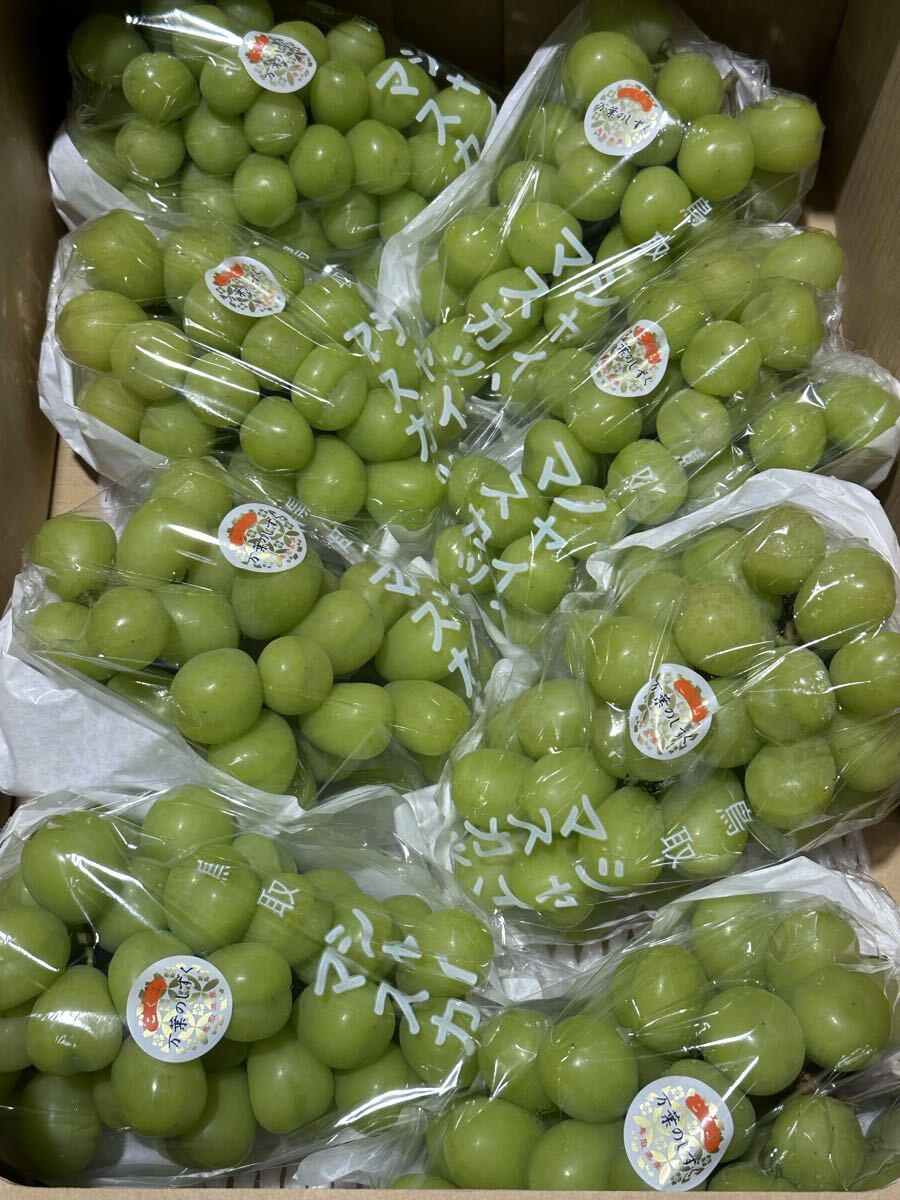 Yahoo!オークション - 鳥取 高級 シャインマスカット 約5kg 7-10房 種...