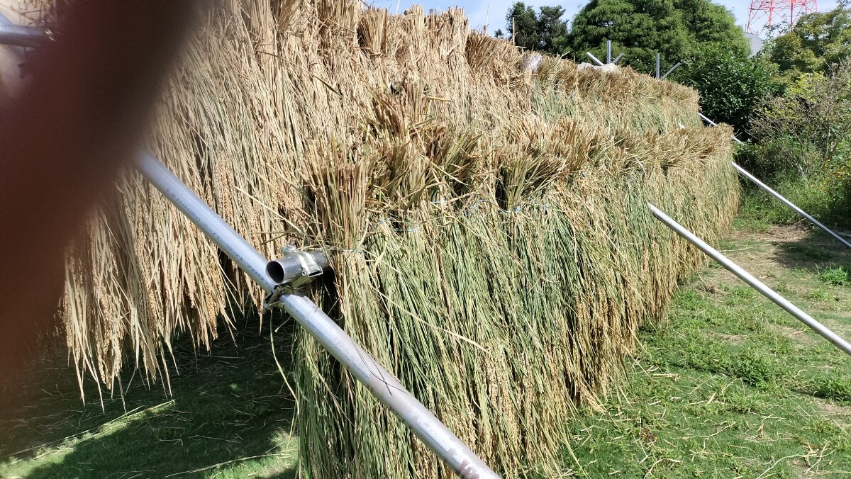 Yahoo!オークション - クボタ バインダー RA50 2条刈 自動紐通し