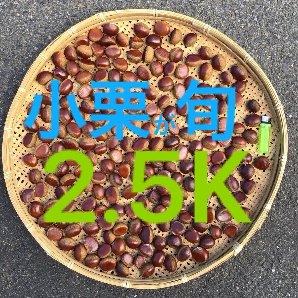 Yahoo!オークション - 小栗が旬 1円〜 味濃い小さめ1.8kg 岐阜産農薬...