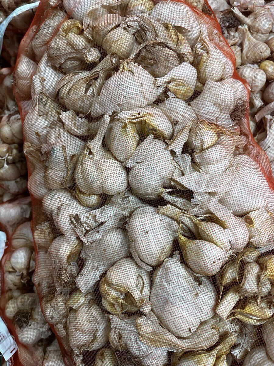 Yahoo!オークション - 新物 青森県産 福地ホワイト六片 にんにく 玉 L....