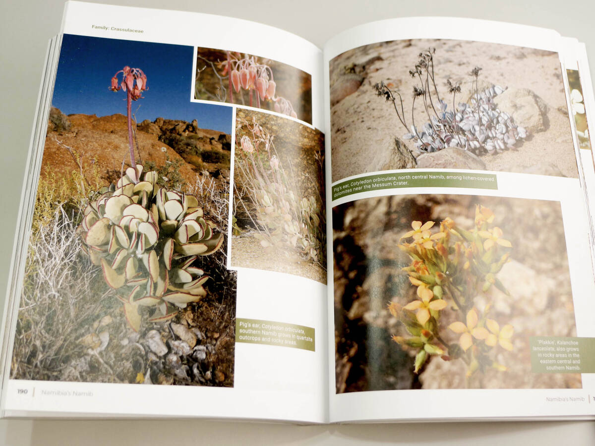 Yahoo!オークション - 【海外書籍】新本在庫 Namibia’s Namib (2023)