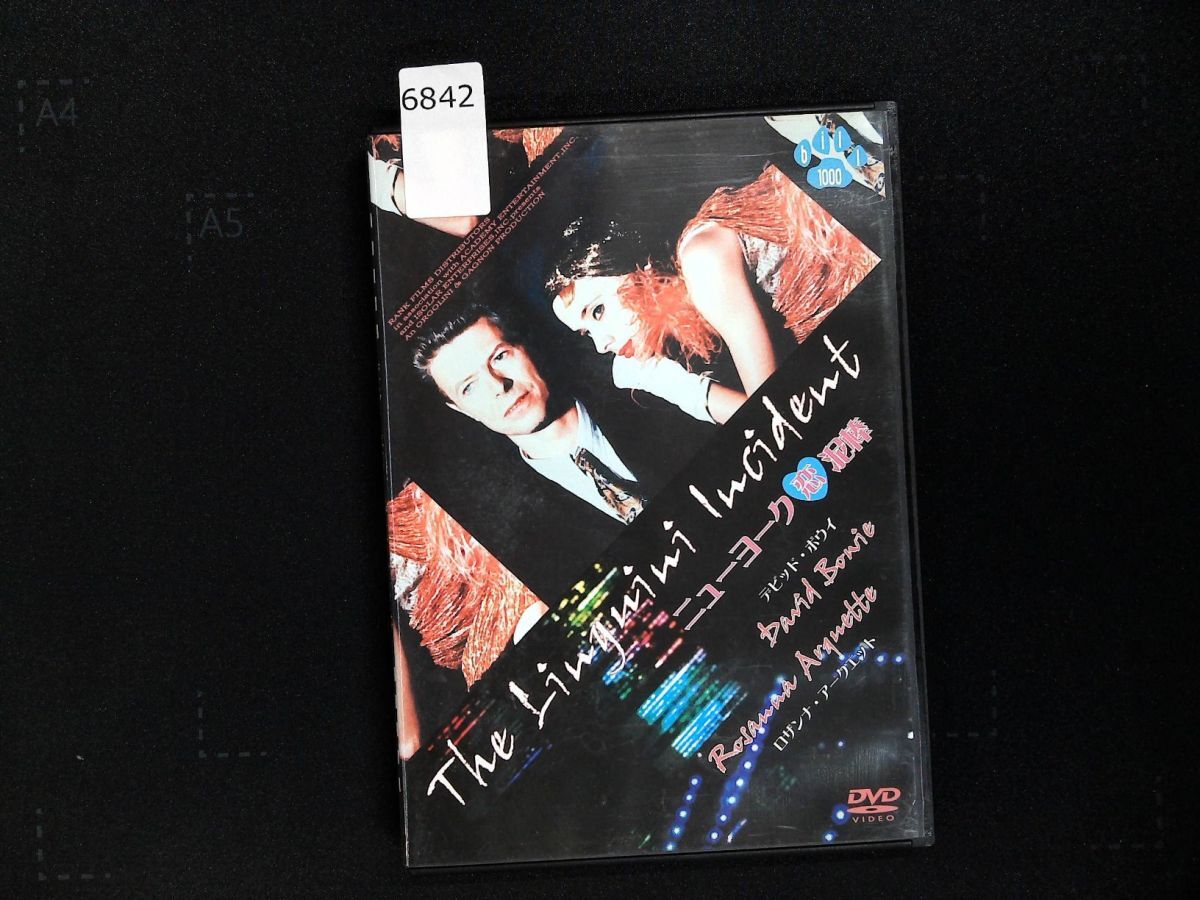 Yahoo!オークション - 6842 DVD ニューヨーク恋泥棒