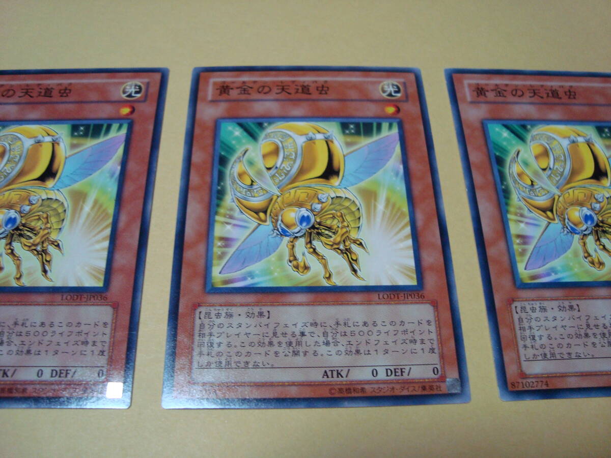 Yahoo!オークション - LODT-JP036 [NR] 黄金の天道虫 3枚 プレイ用