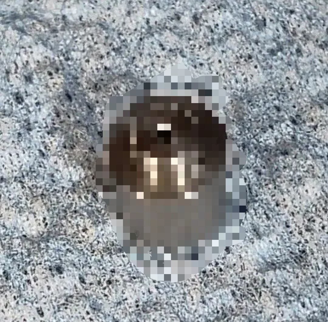 Yahoo!オークション - 【アドレスV125G/S】オリフィス加工 0.48mm CF4M...