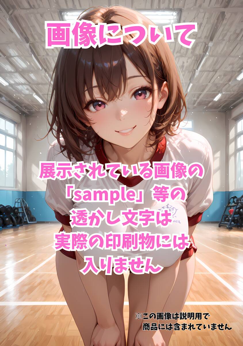 Yahoo!オークション - No_1704 A4 ポスター 電車 美女 巨乳 同人 高画...